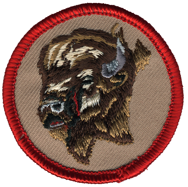 Eagle Gifts Galore/Wild Beast Animal Buffalo/ Bison Buffalo Collectibles & Gifts/ WB Buffalo/ WB ...